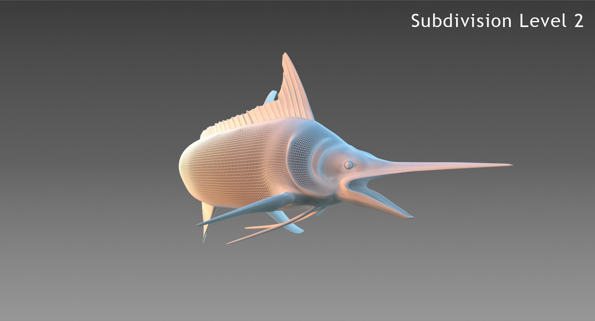 3D Rigged Blue Marlin Model - TurboSquid 1271773