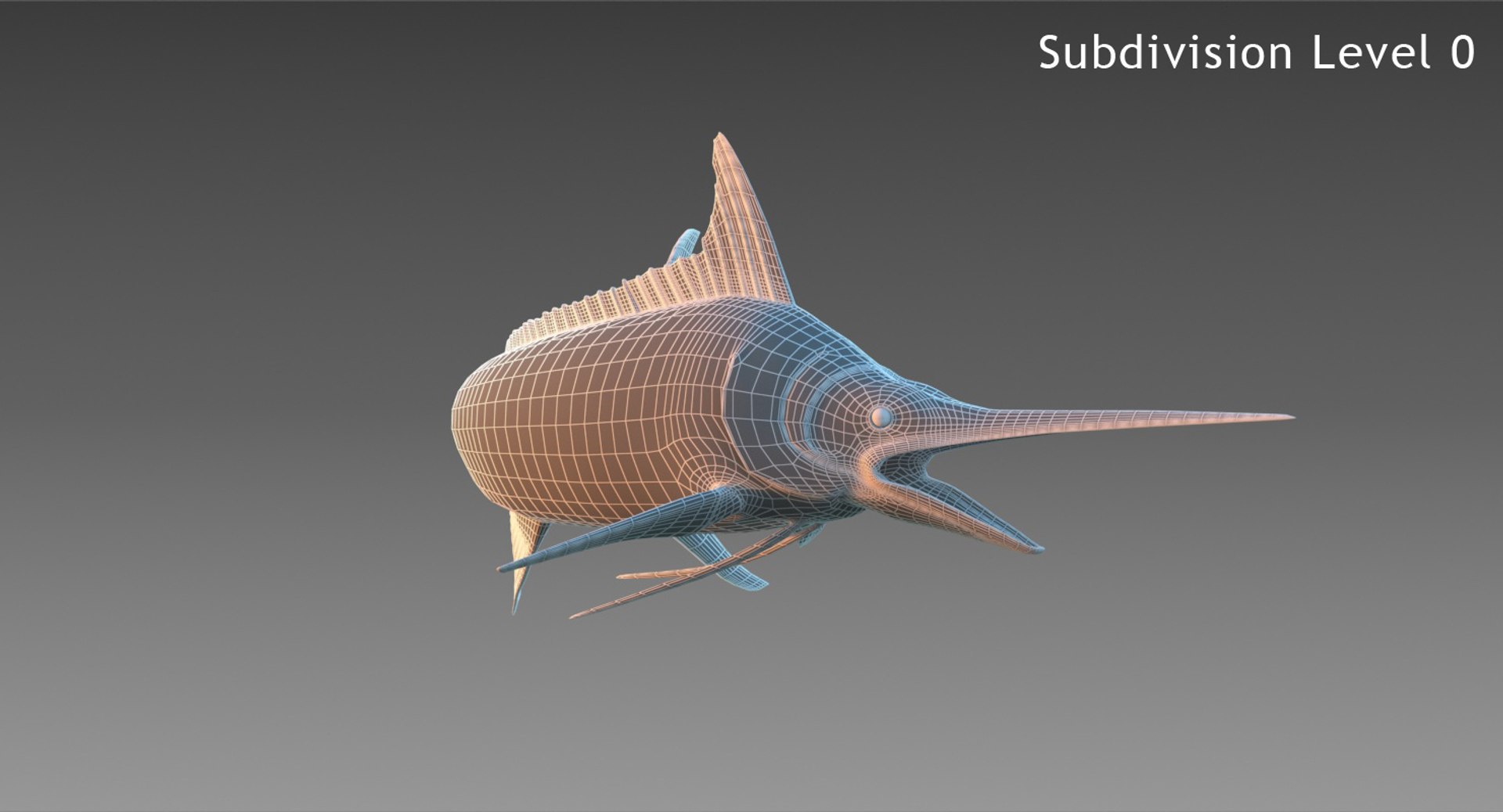 3D Rigged Blue Marlin Model - TurboSquid 1271773