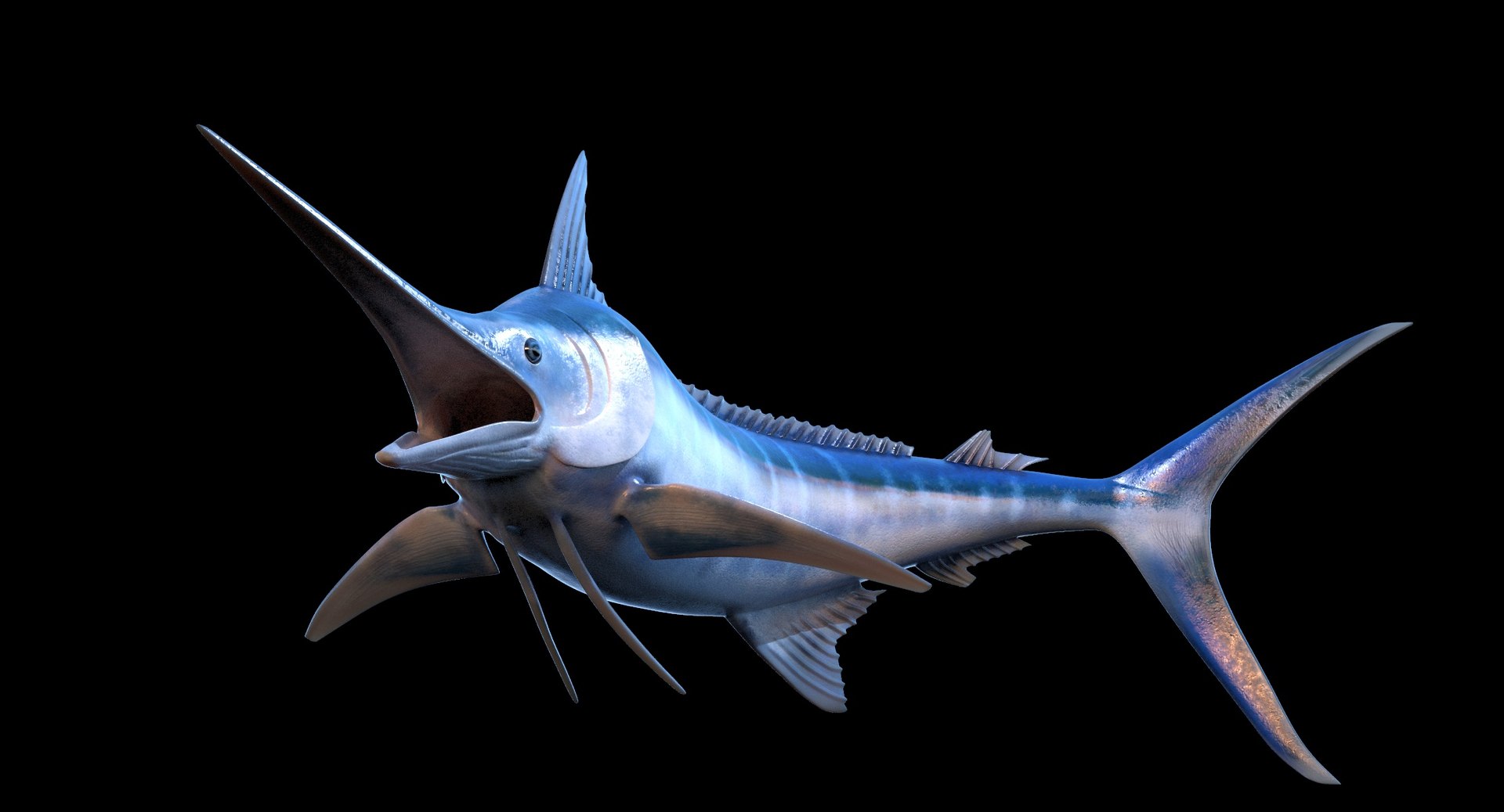 3D Rigged Blue Marlin Model - TurboSquid 1271773