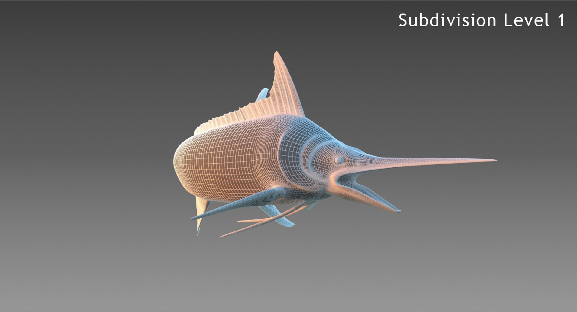 3D Rigged Blue Marlin Model - TurboSquid 1271773
