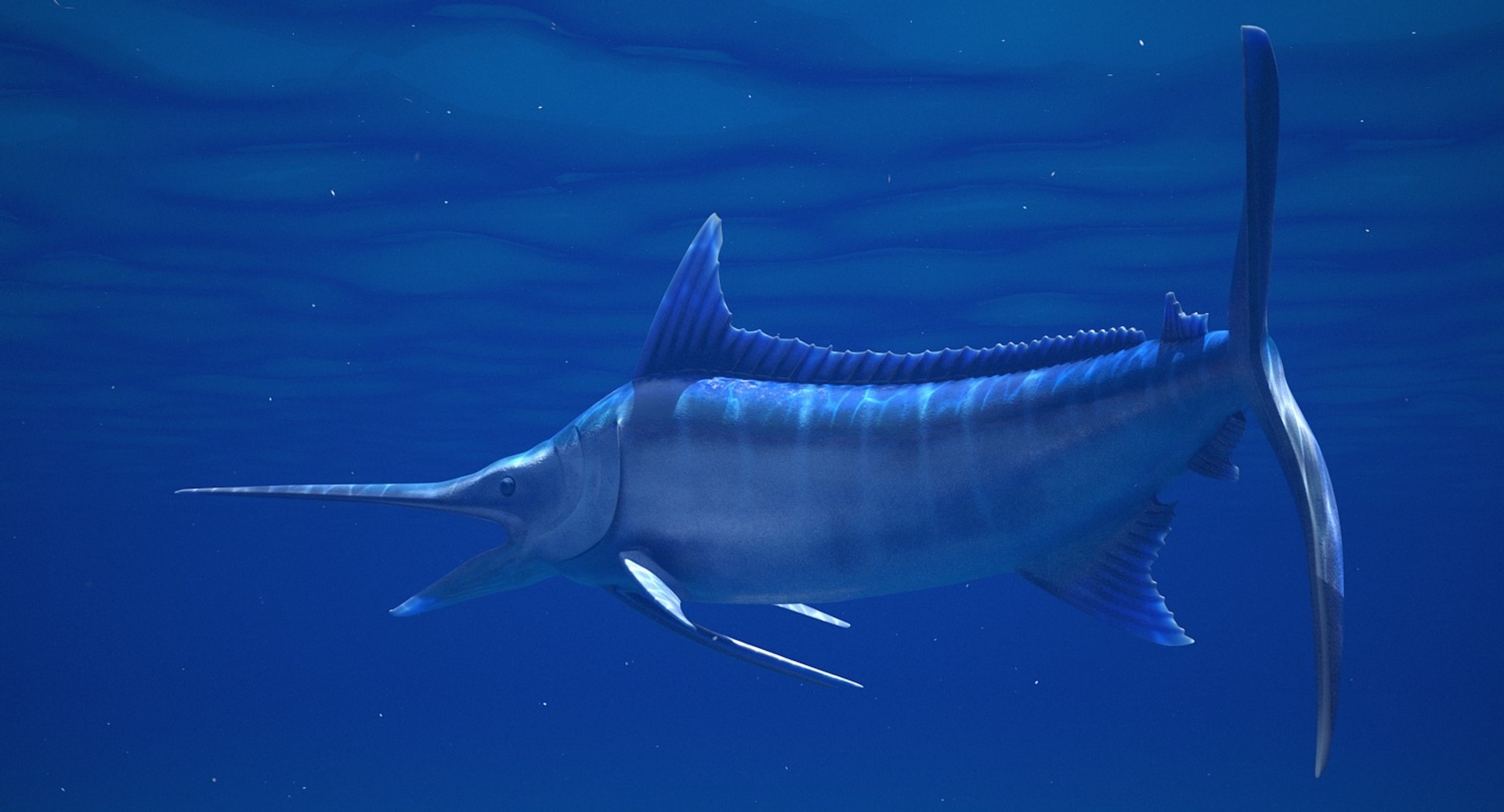 3D Rigged Blue Marlin Model - TurboSquid 1271773