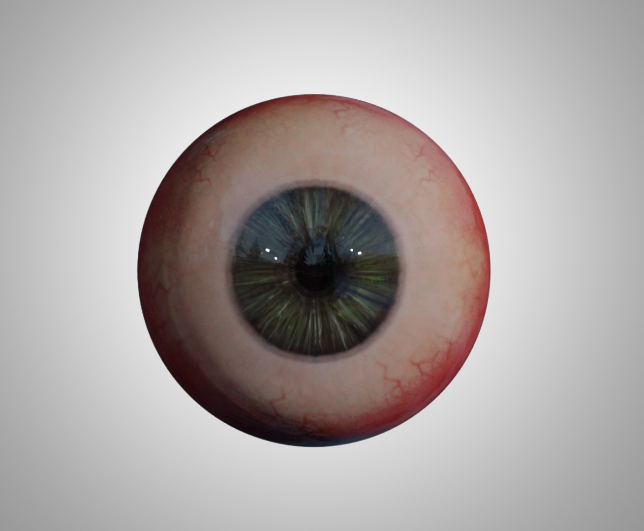 Realistic Eye Model - TurboSquid 1639619