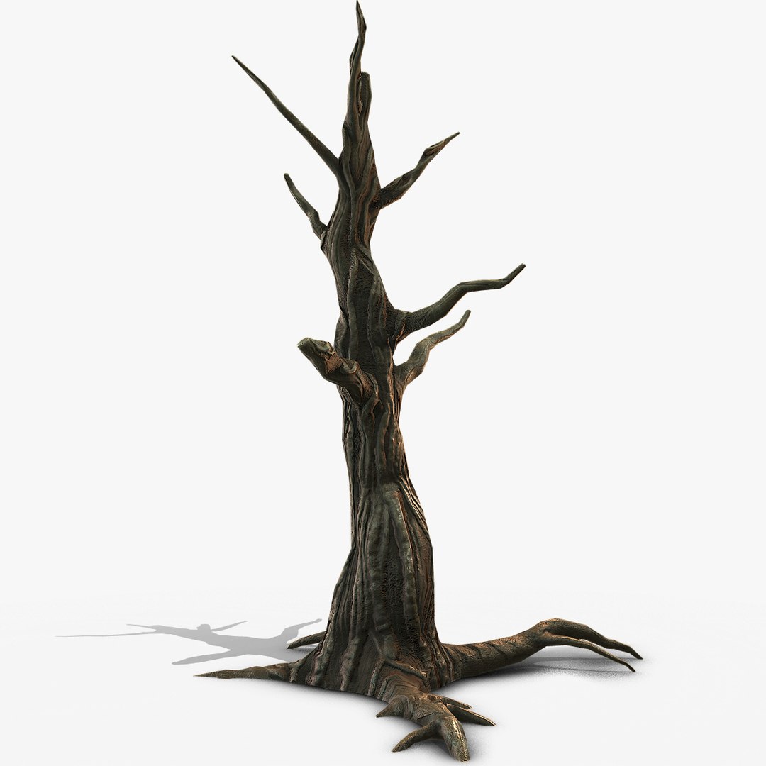Swamp Dead Tree 3D Model - TurboSquid 1269758