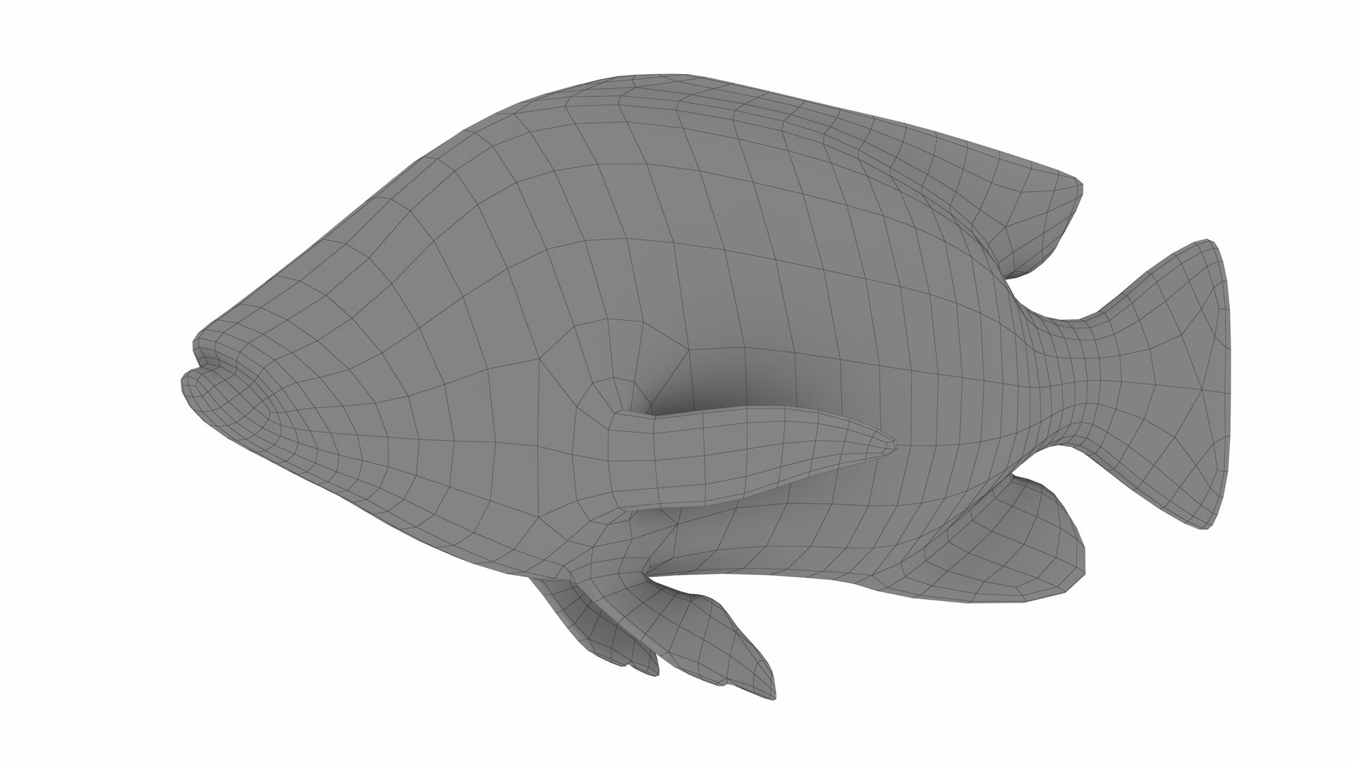 Farmed Fish 8 In 1 3D Model - TurboSquid 2386943