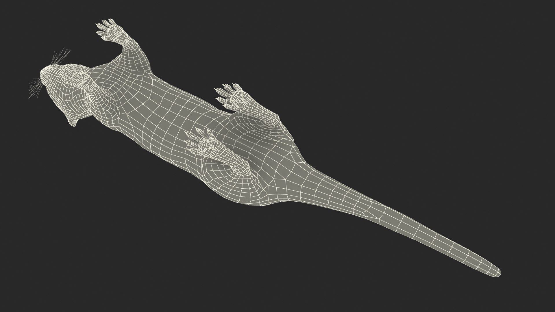 3D Vormela Peregusna Fur Model - TurboSquid 2207900