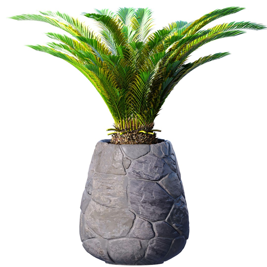 3D Model Decorative Tall Palm Cicas In Stone Floor Flower Pot Urn ...
