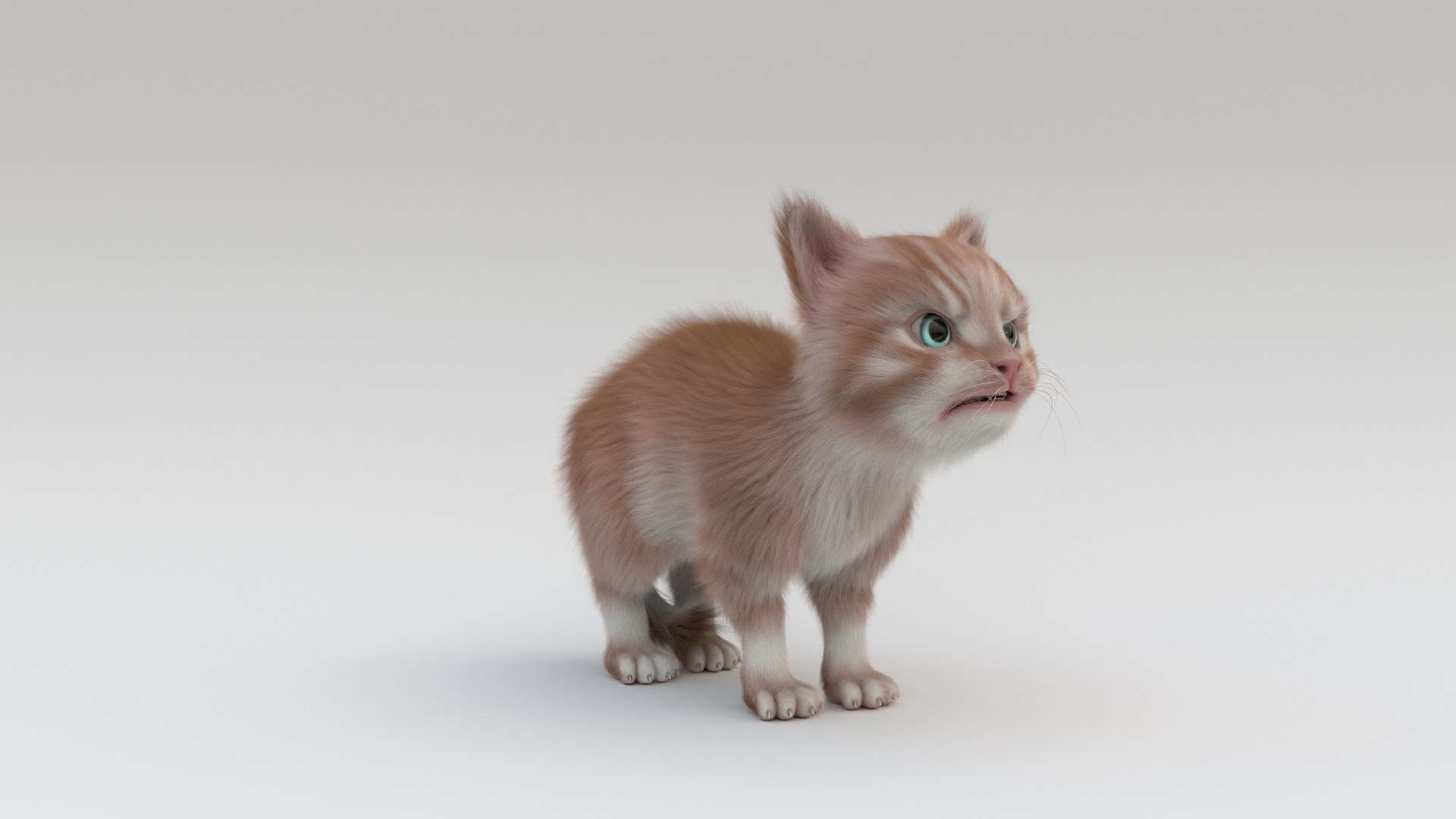 Cat FUR ANIMATED 3D Model - TurboSquid 1986551