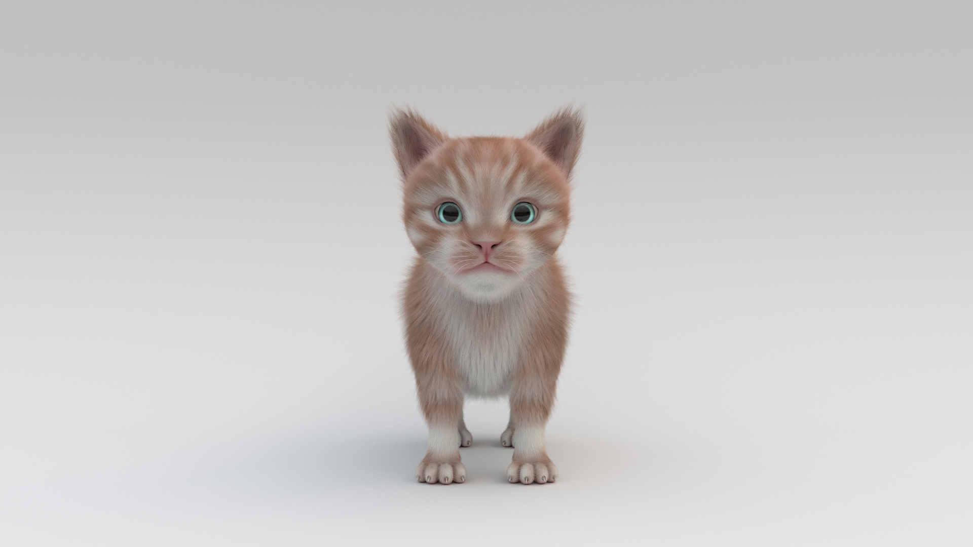 Cat FUR ANIMATED 3D Model - TurboSquid 1986551