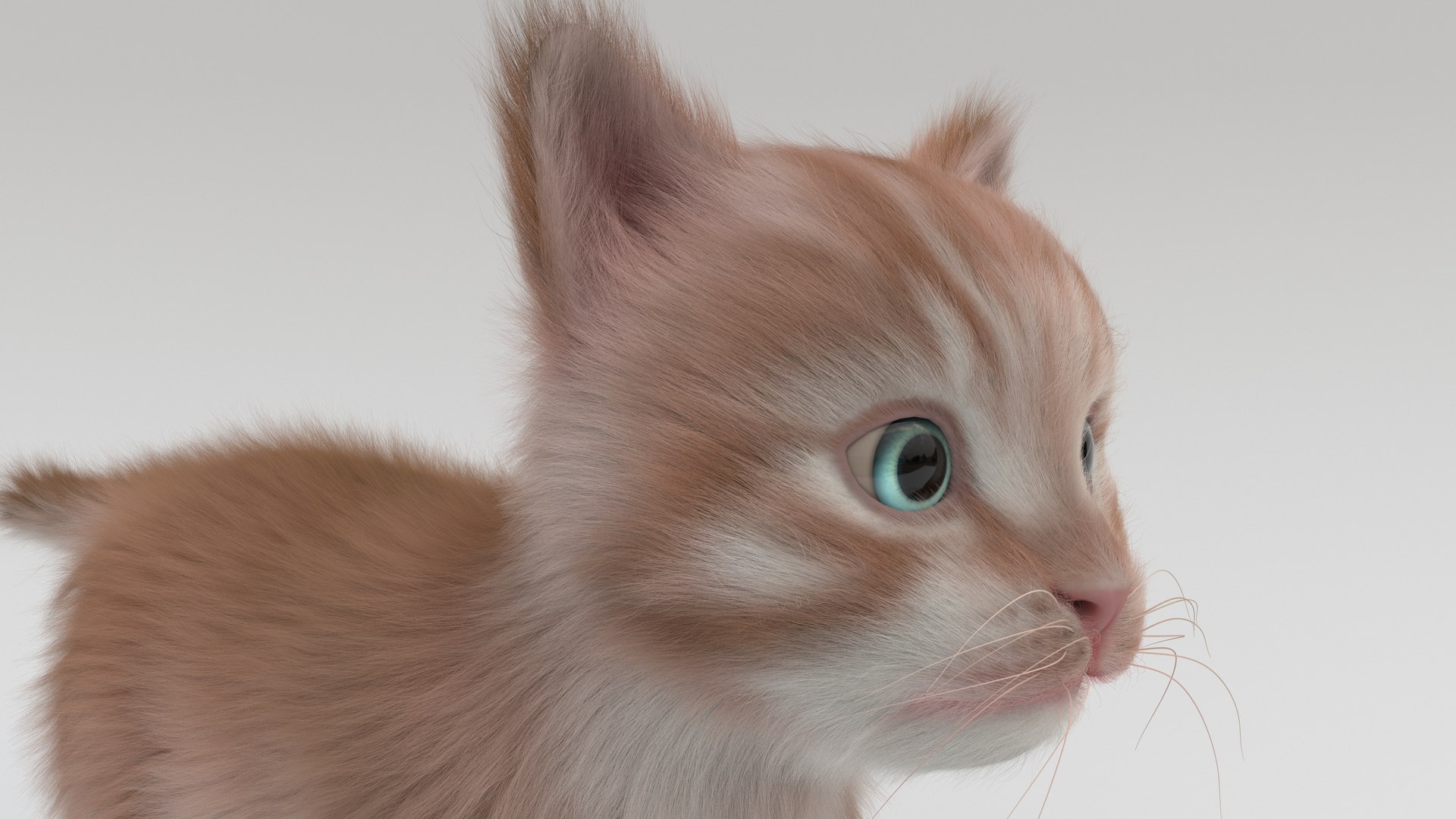 Cat FUR ANIMATED 3D Model - TurboSquid 1986551