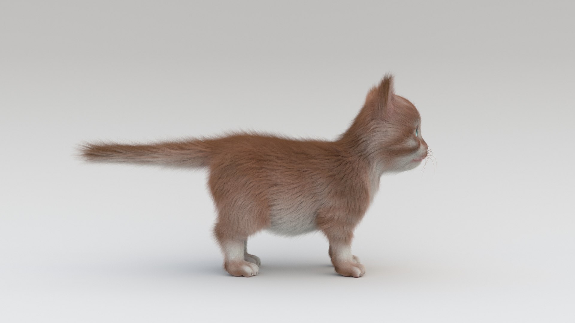 Cat FUR ANIMATED 3D Model - TurboSquid 1986551
