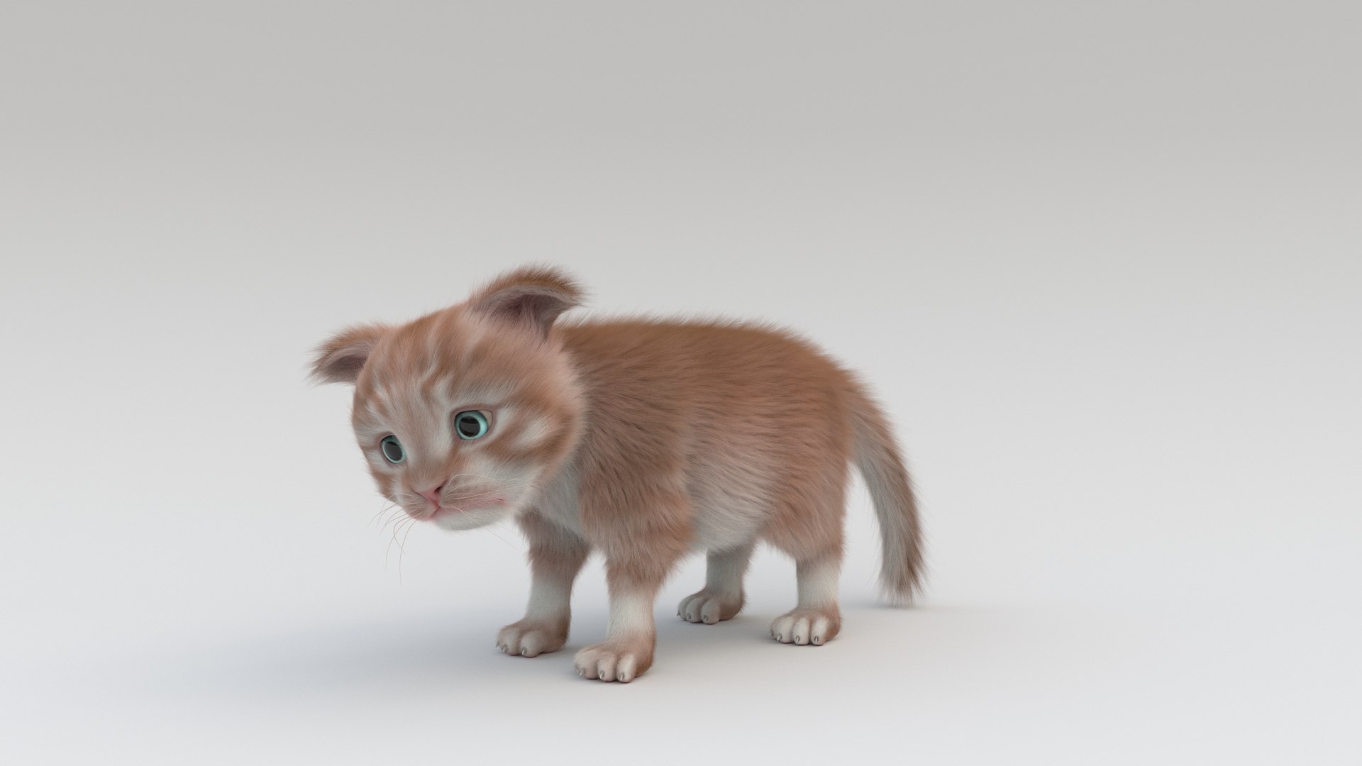Cat FUR ANIMATED 3D Model - TurboSquid 1986551