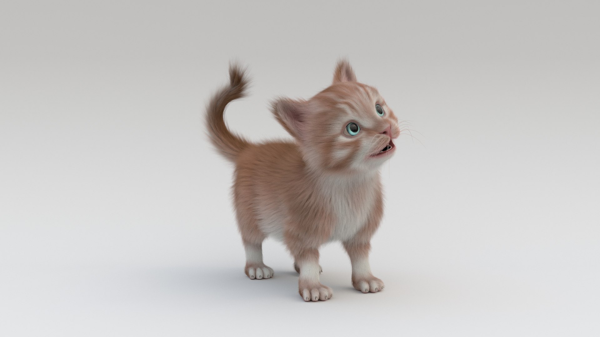 Cat FUR ANIMATED 3D Model - TurboSquid 1986551