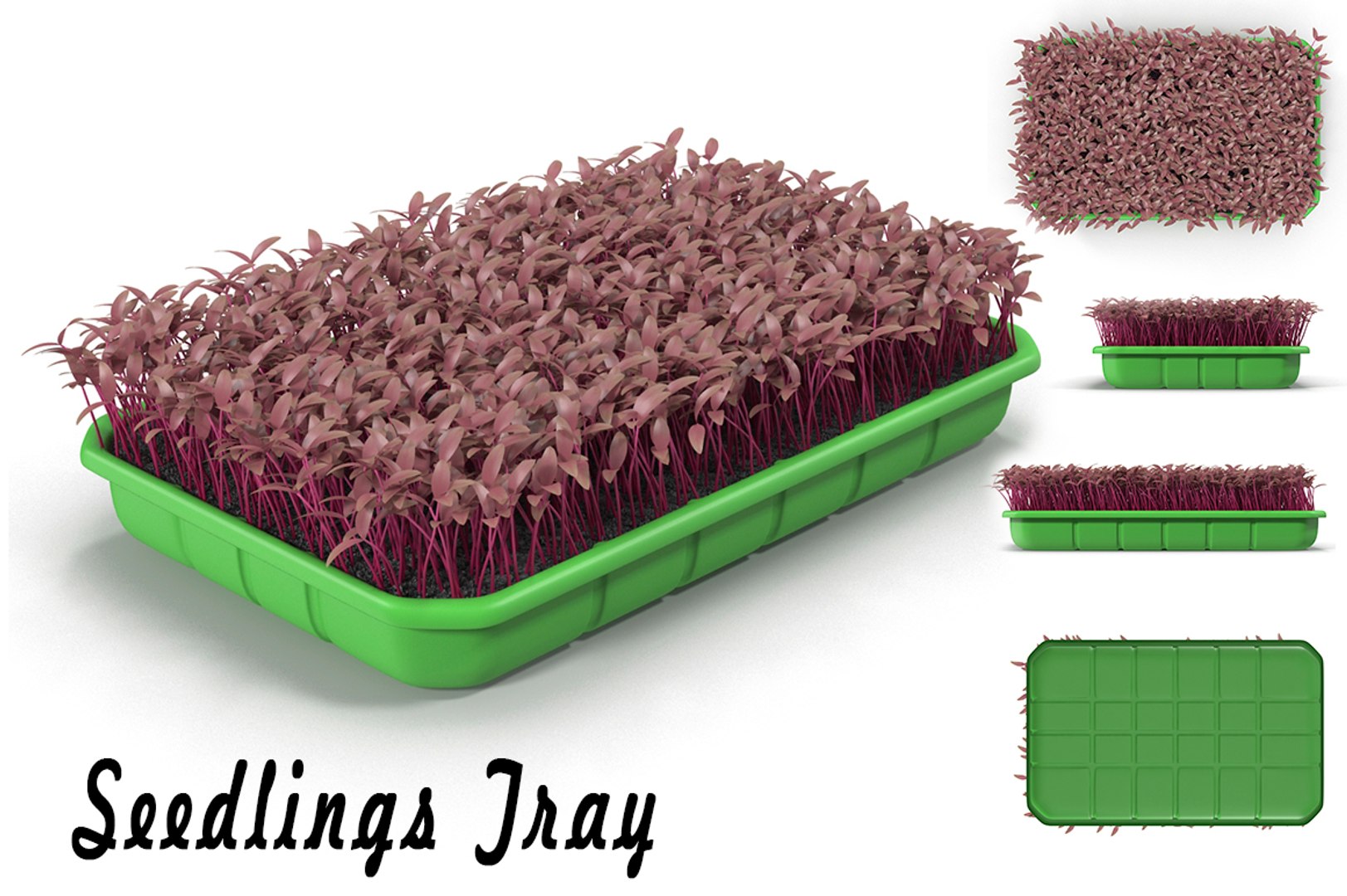 3d Seedling Tray