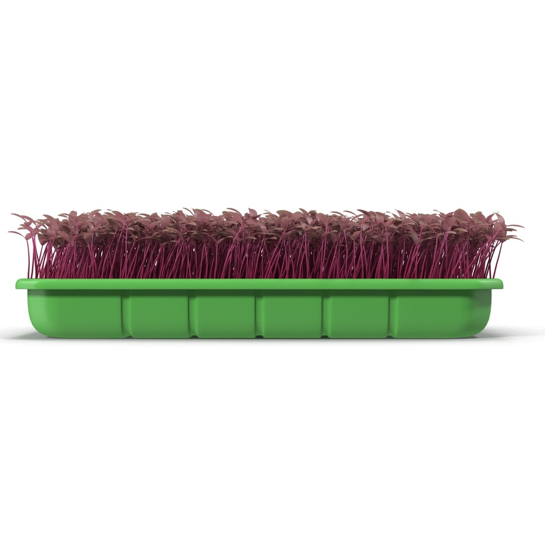 3d Seedling Tray