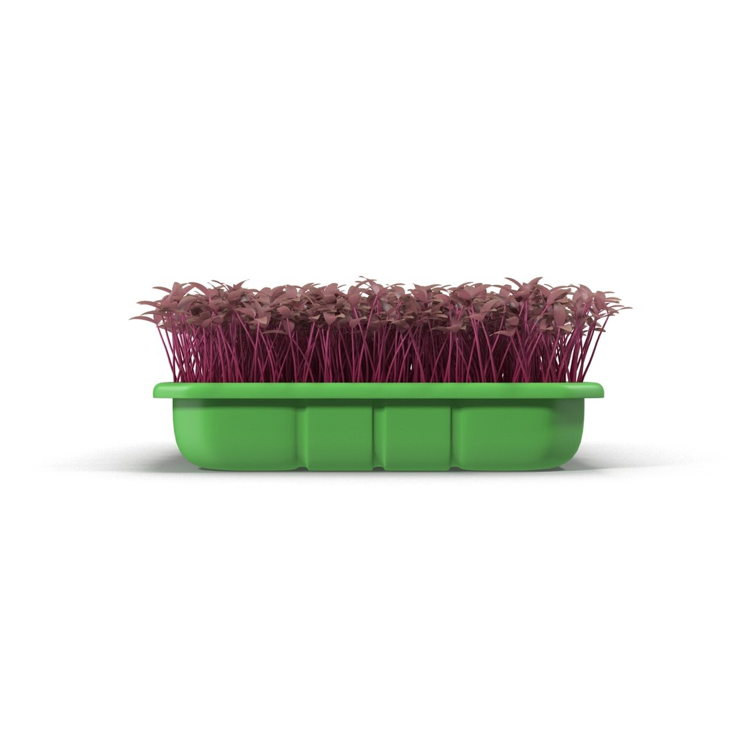 3d Seedling Tray