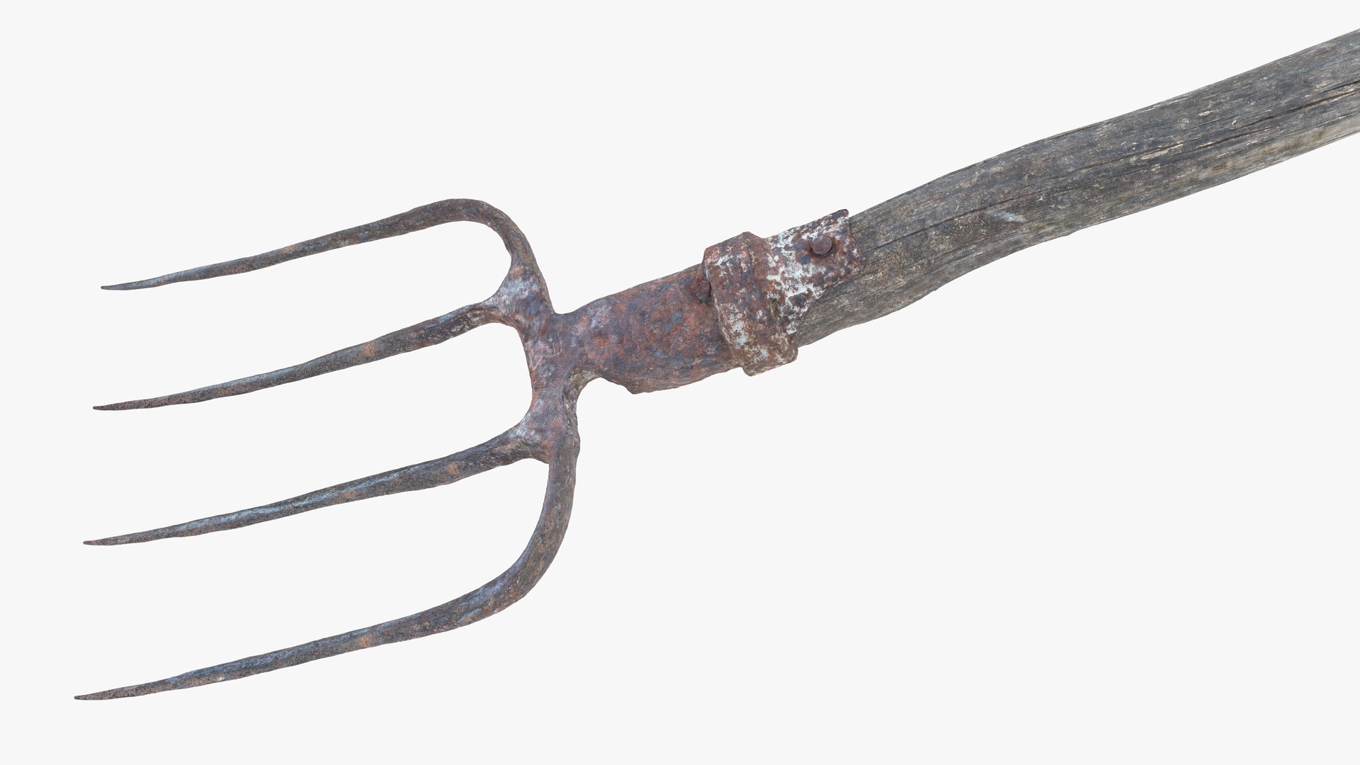 3D sculpt photorealistic - TurboSquid 1446129