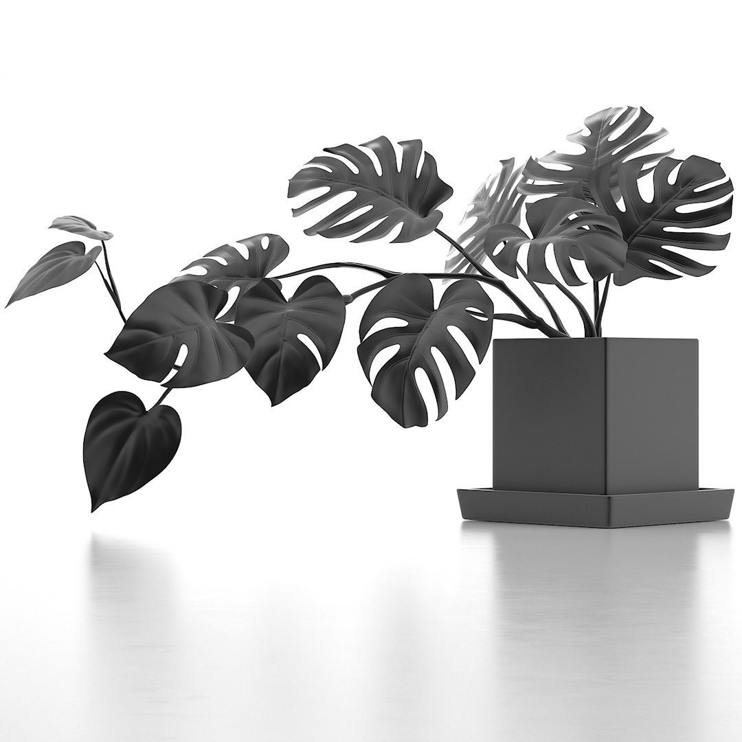 3D model monstera leaves - TurboSquid 1220029