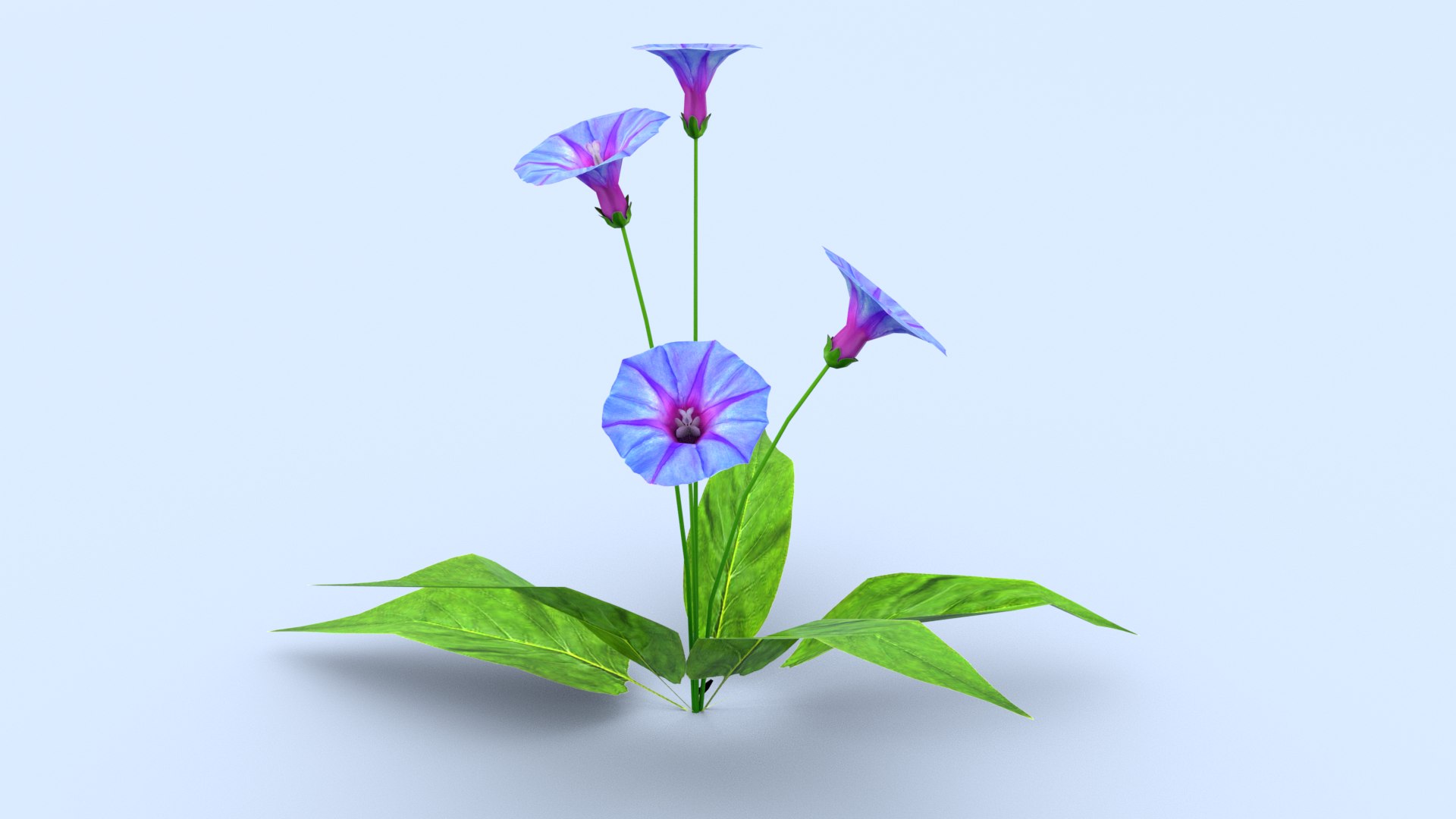 6 Low Poly Flowers Collection 2 Low-poly 3D Model 3D Model - TurboSquid ...