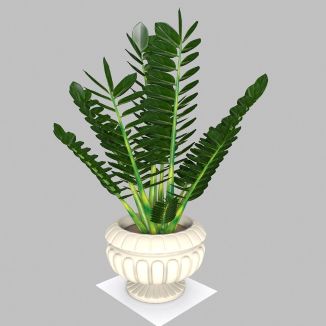 cartoon ornamental plant 3d 3ds