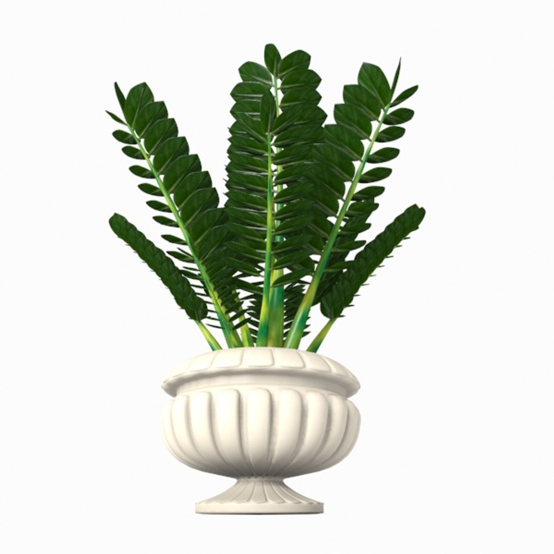 cartoon ornamental plant 3d 3ds