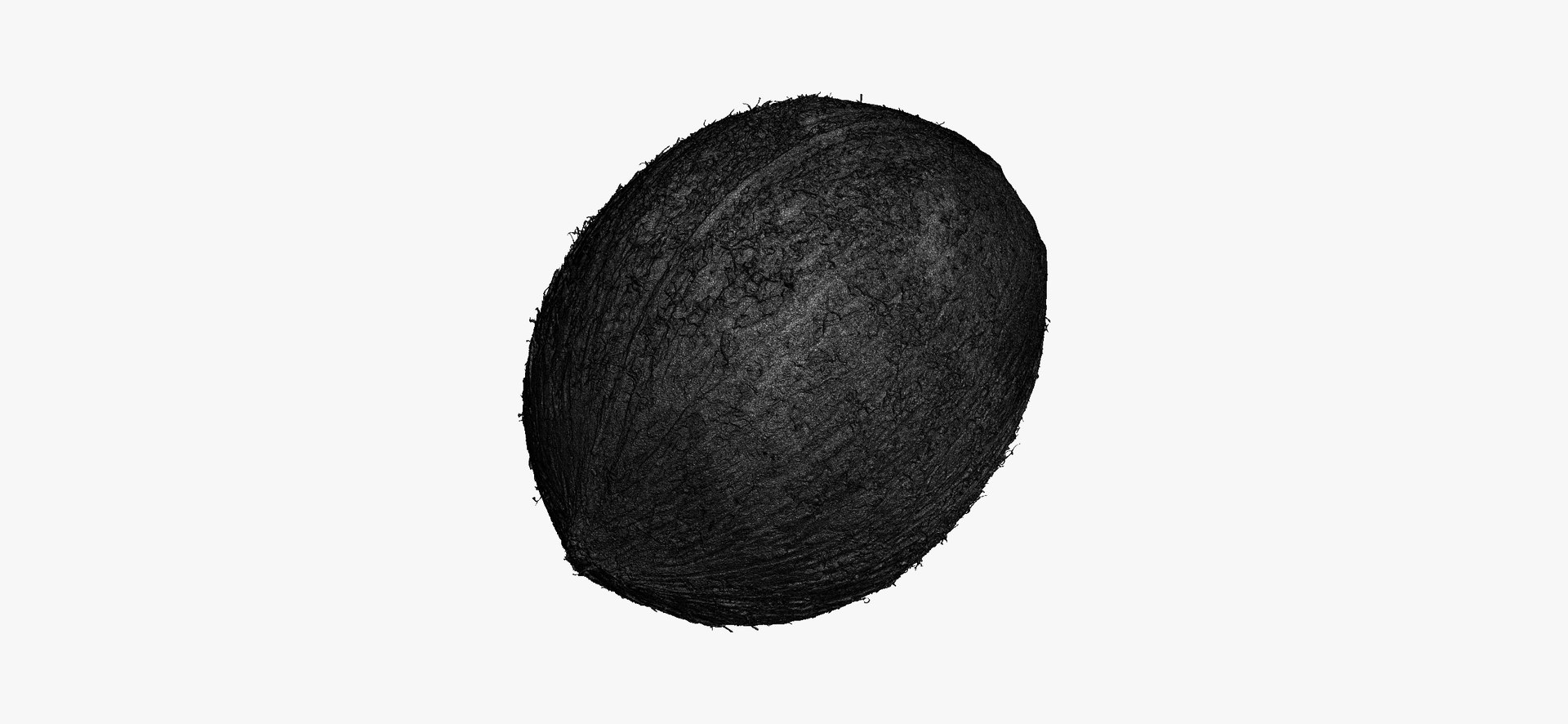 3D coconut 01 raw scan - TurboSquid 1641901