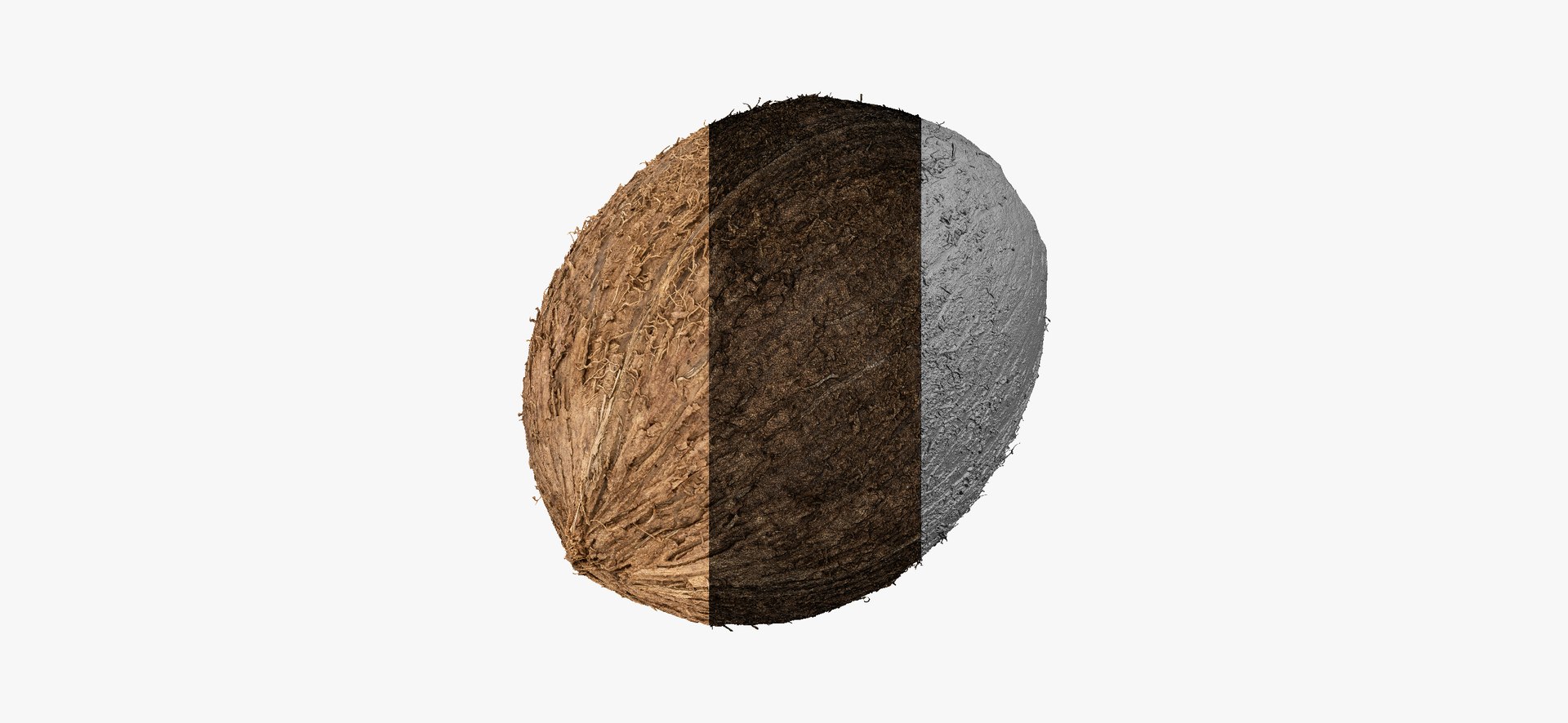 3D coconut 01 raw scan - TurboSquid 1641901