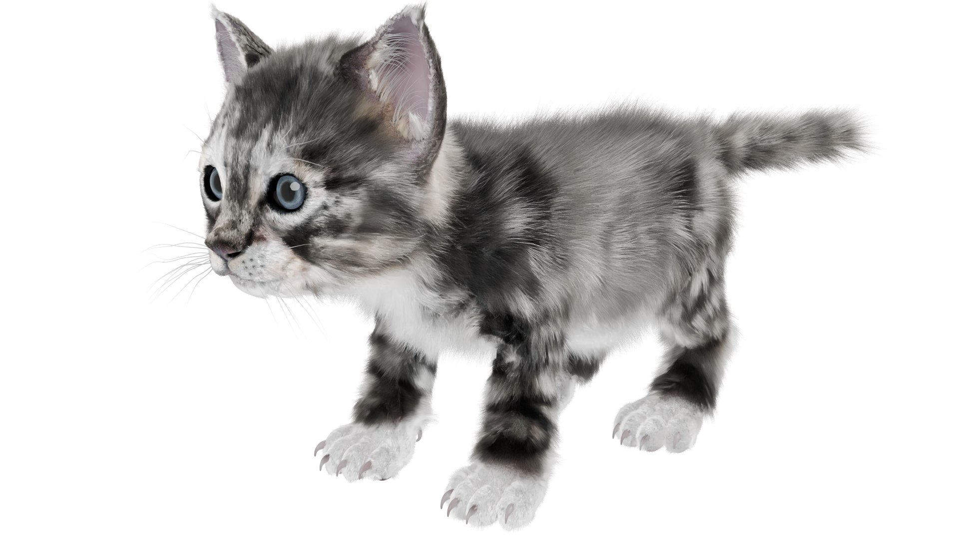 Kitten Model - TurboSquid 2306051