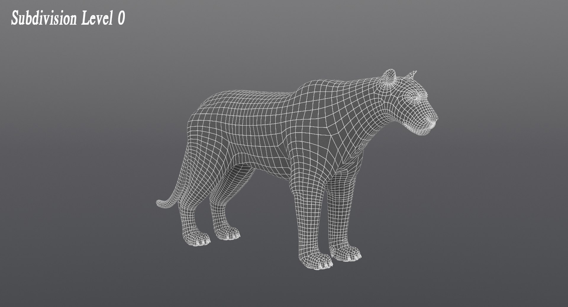 Lion 2 Fur Animation 3D Model - TurboSquid 1333456