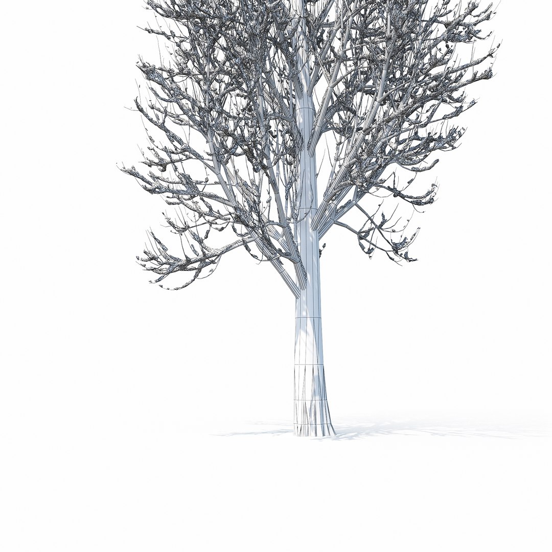 Winter Tree 016 3D Model - TurboSquid 1229337