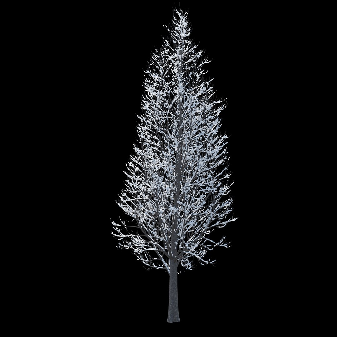 Winter Tree 016 3D Model - TurboSquid 1229337
