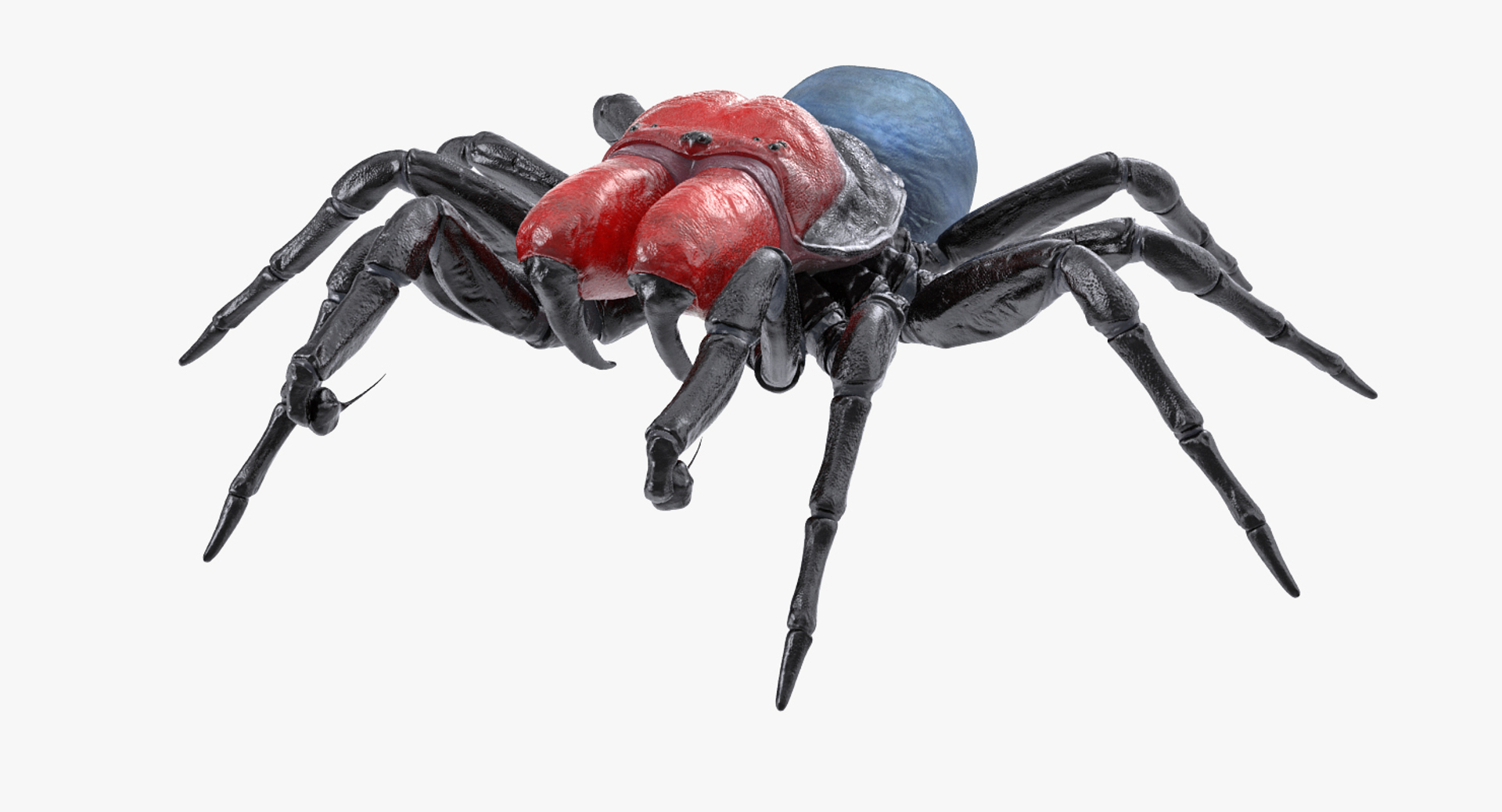 3D Mouse Spider Rigged - TurboSquid 1167488