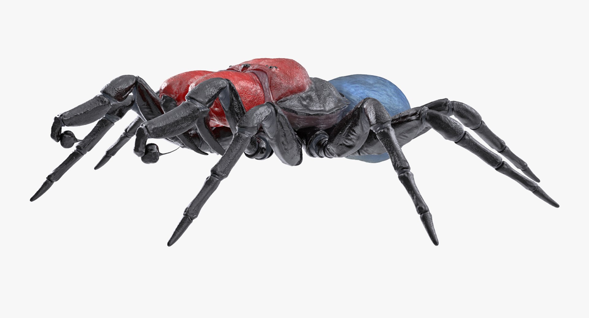 3D Mouse Spider Rigged - TurboSquid 1167488