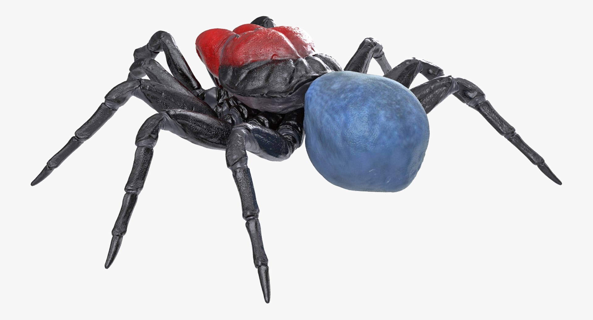 3D Mouse Spider Rigged - TurboSquid 1167488