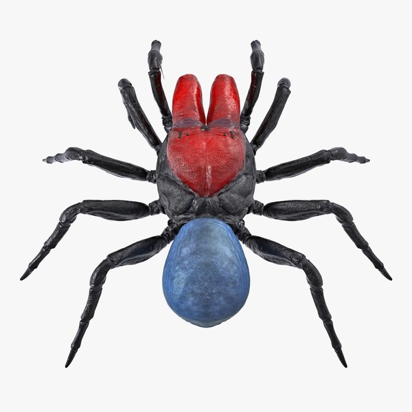 3D mouse spider rigged - TurboSquid 1167488
