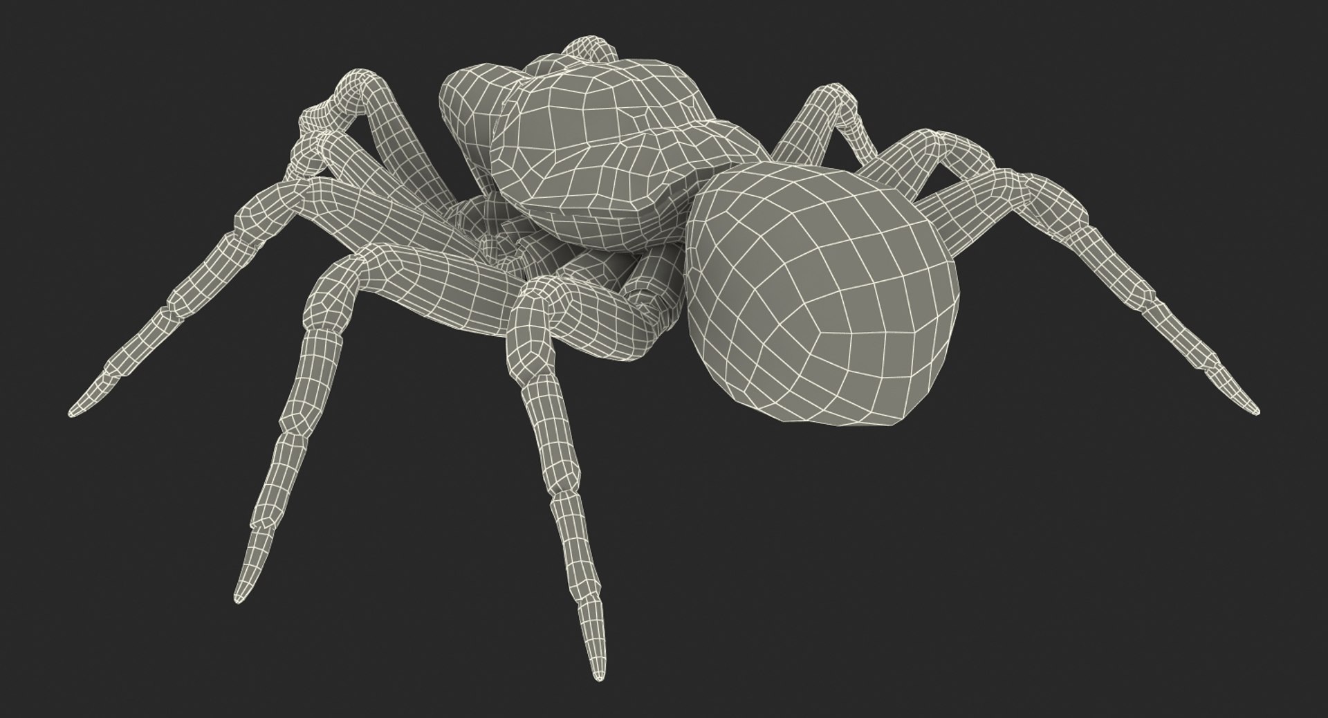 3D mouse spider rigged - TurboSquid 1167488