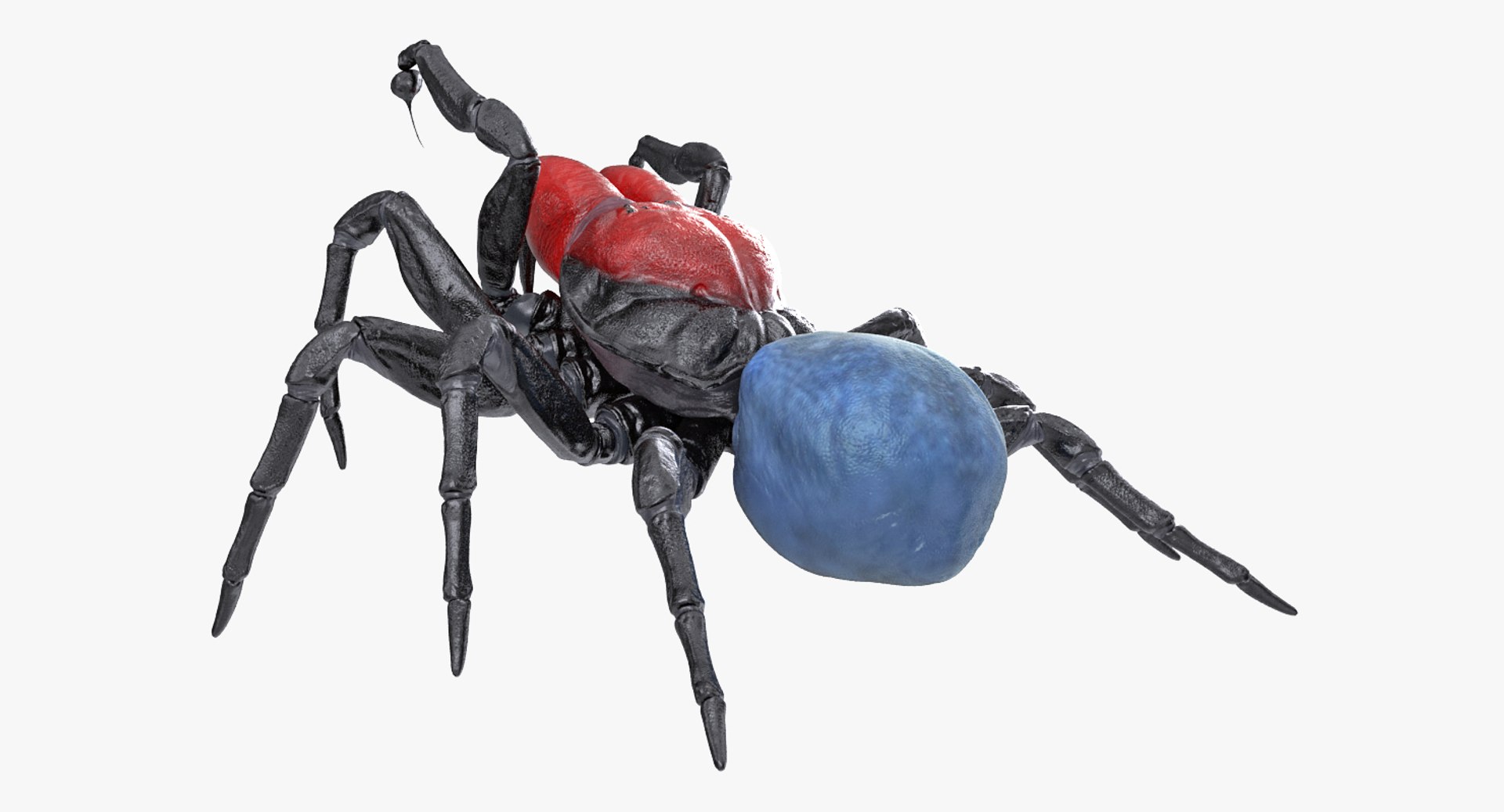 3D Mouse Spider Rigged - TurboSquid 1167488