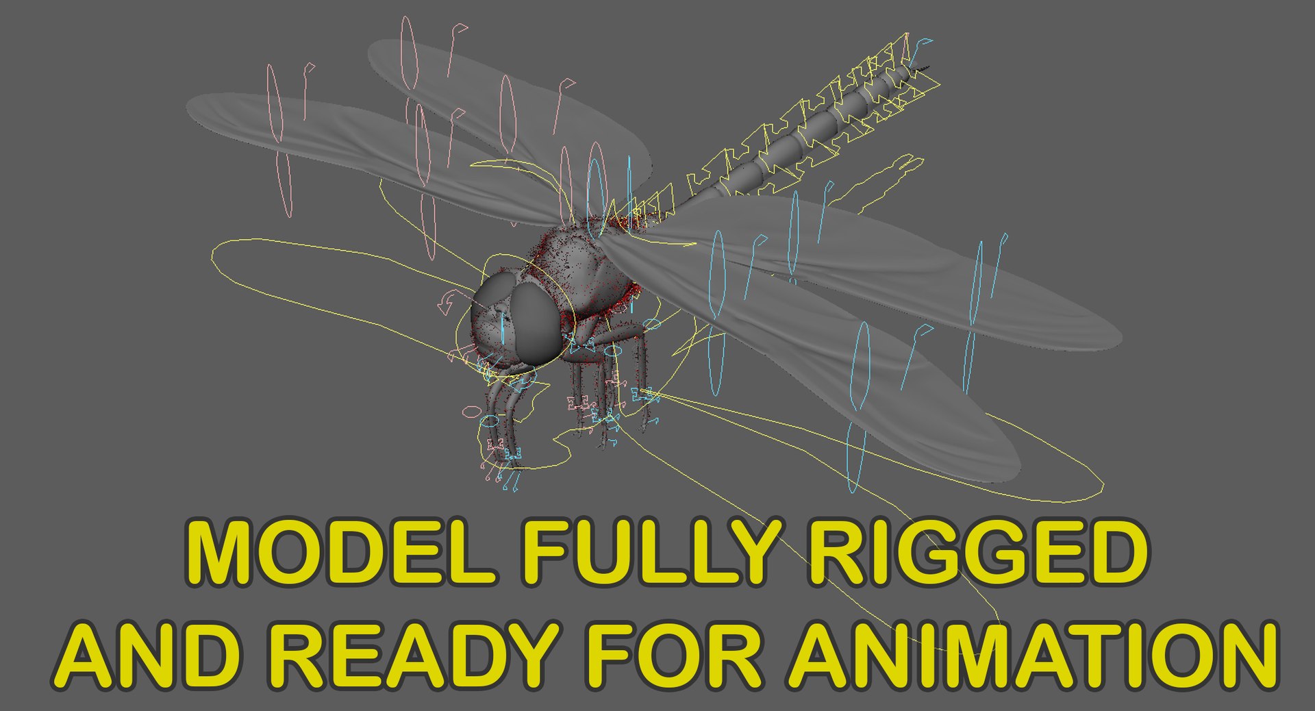 3D Dragonfly Common Darter Animation Flying - TurboSquid 1340479