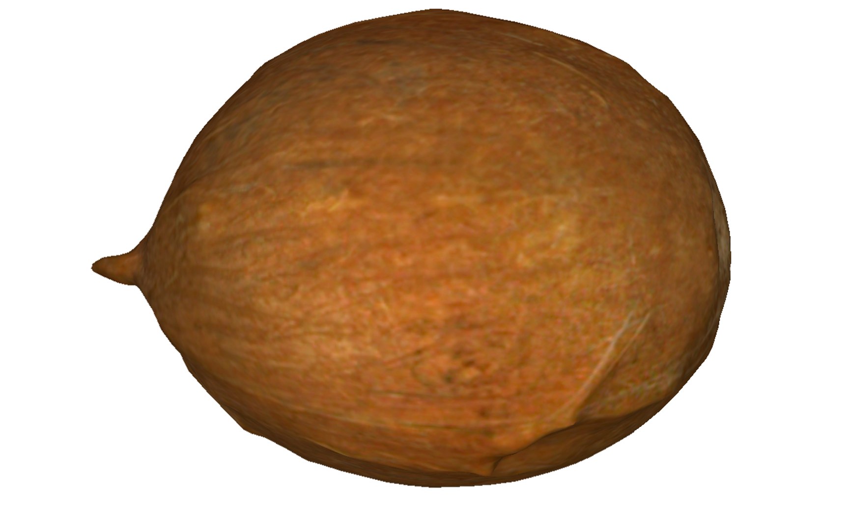 3D Coconut Real - TurboSquid 1627739