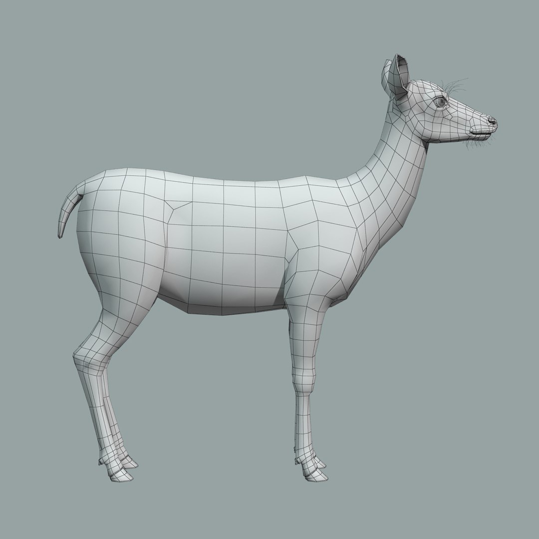 Red Deer Doe Fur 3d Model