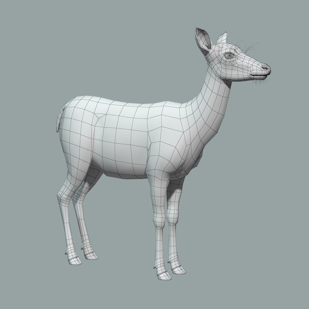 Red Deer Doe Fur 3d Model