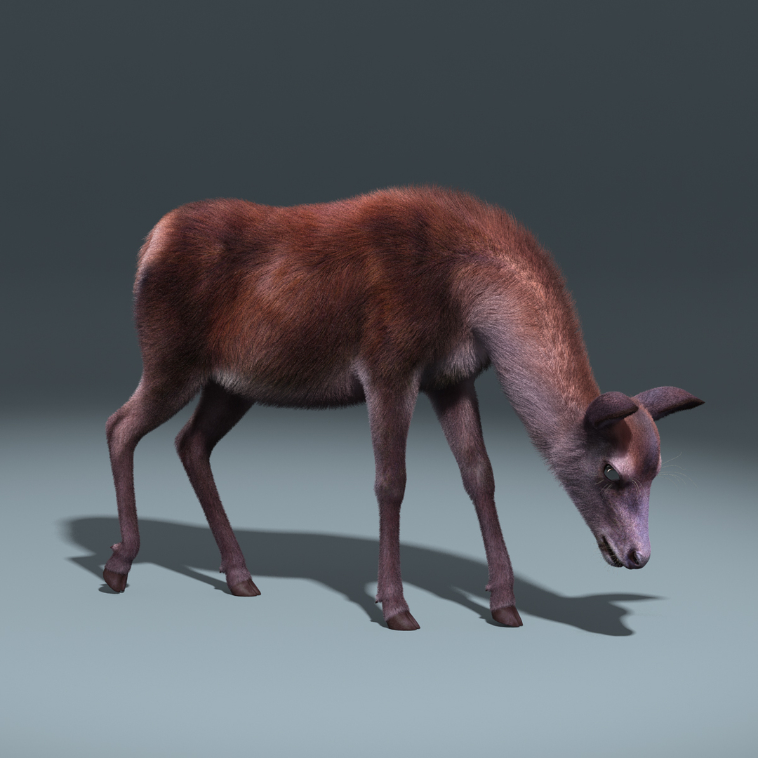red deer doe fur 3d model