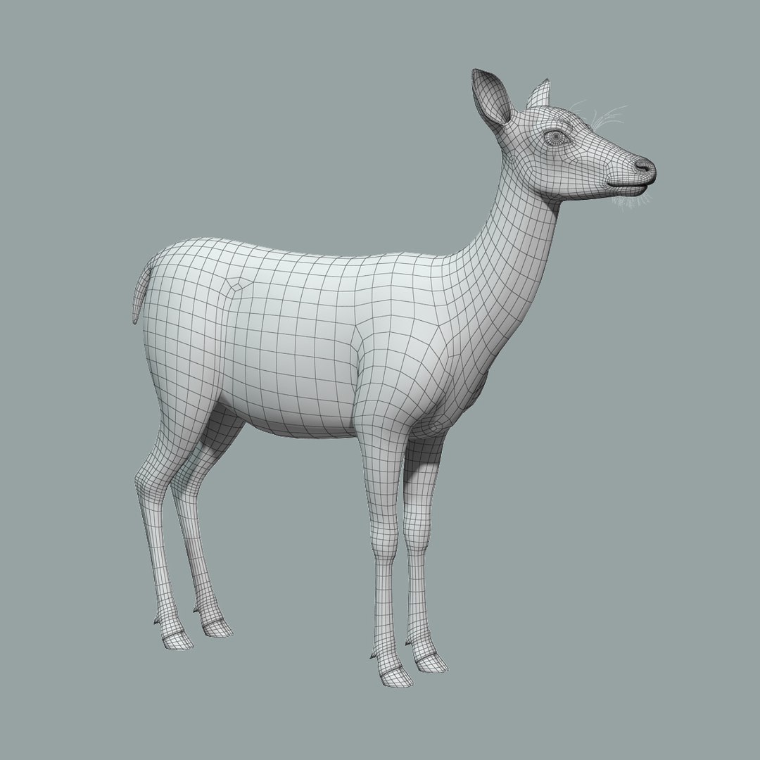 Red Deer Doe Fur 3d Model