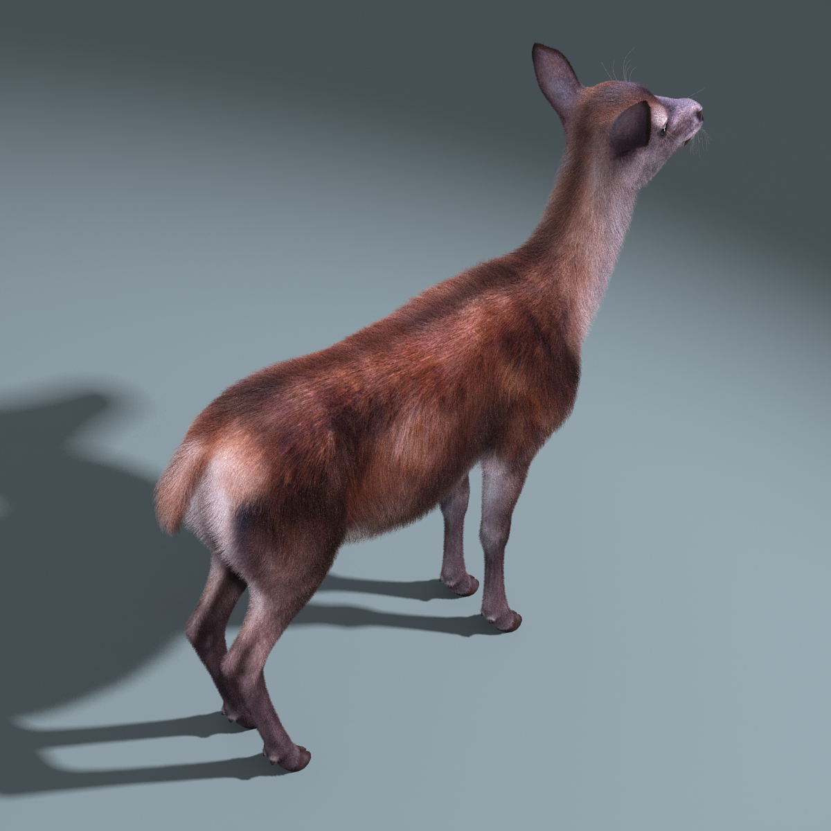 red deer doe fur 3d model