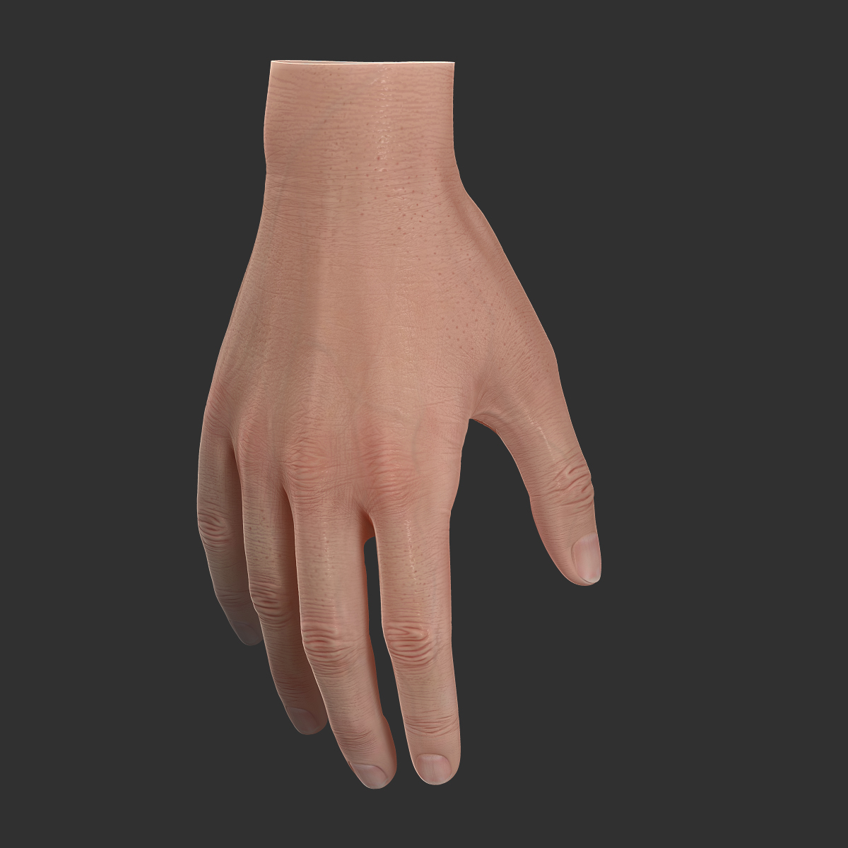 basic hand rigged 3d max