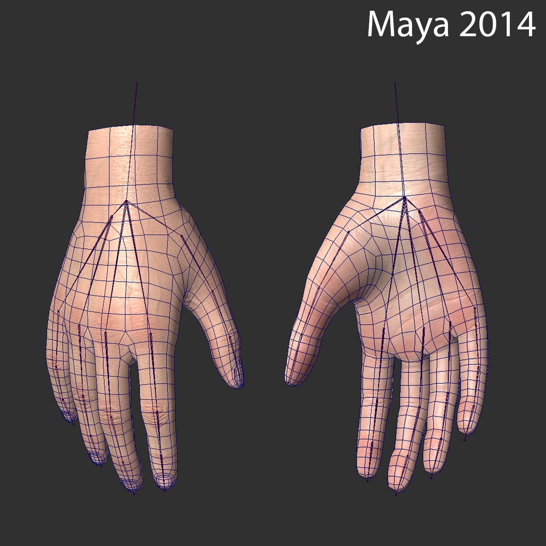 basic hand rigged 3d max