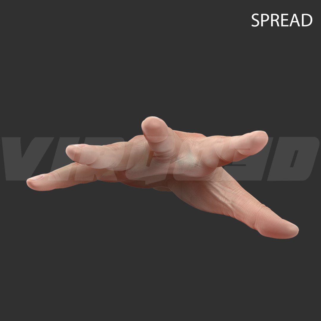 basic hand rigged 3d max