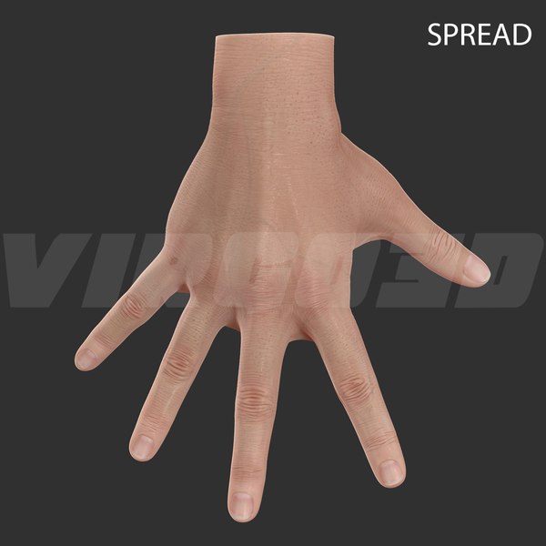 basic hand rigged 3d max