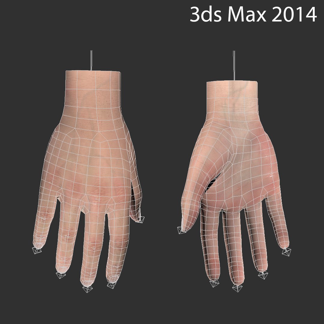 basic hand rigged 3d max