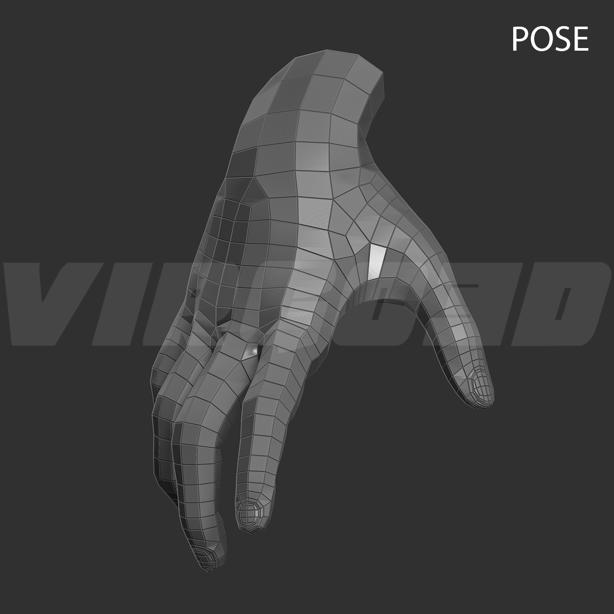 basic hand rigged 3d max