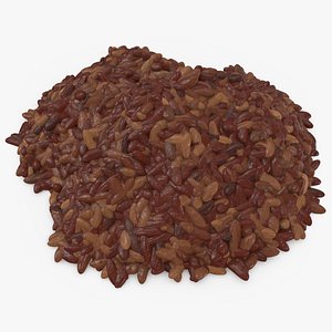 3D Rice Field Models - Browse & Download Formats - TurboSquid